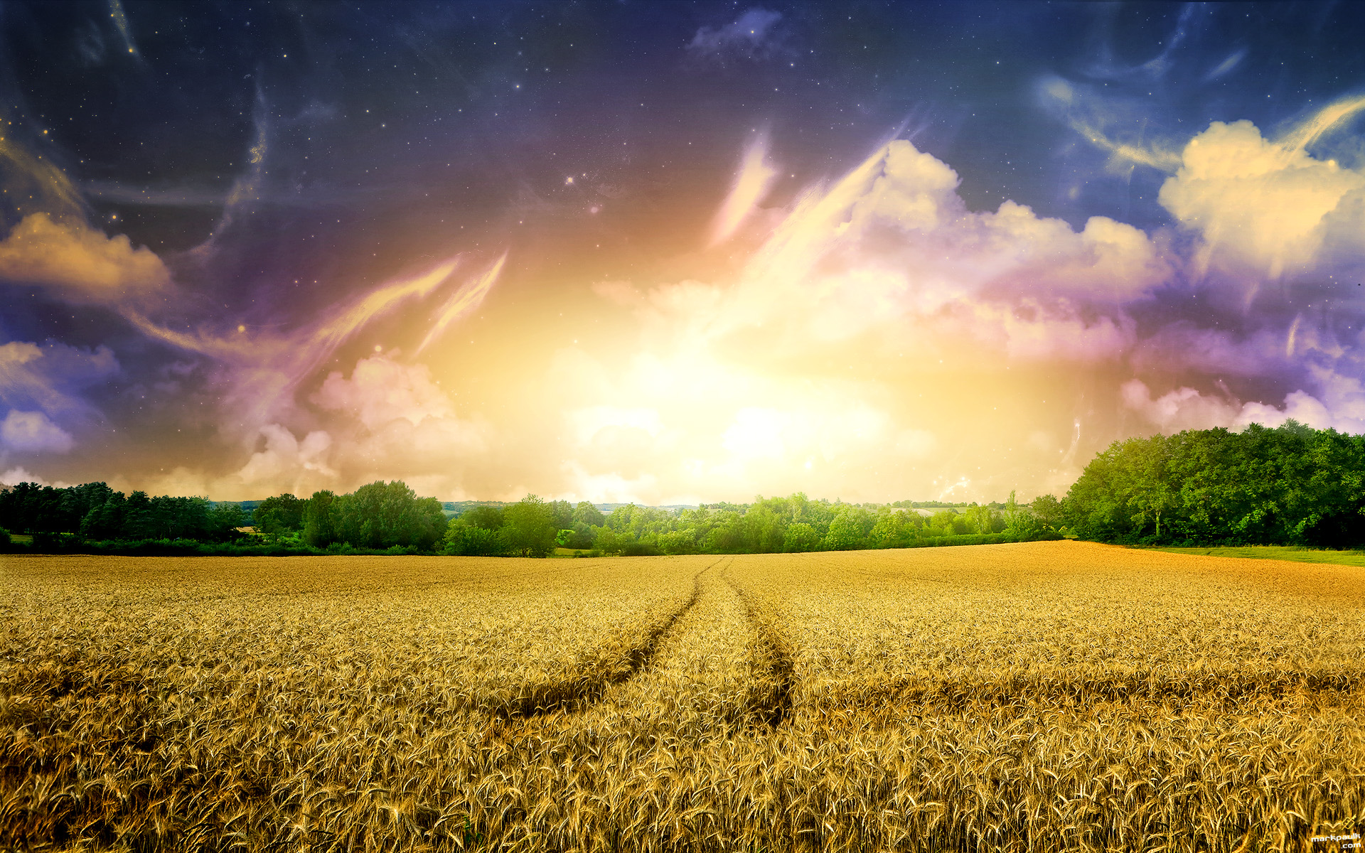 magic-field-wallpapers_37432_1920x1200 | Agro Simpa d.o.o.